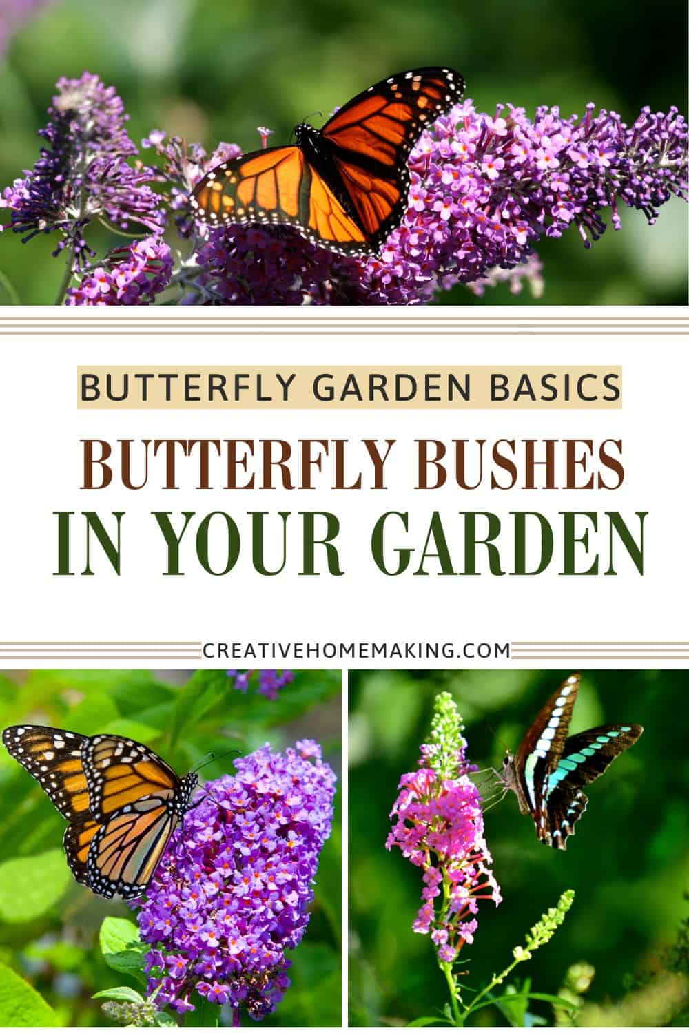 Top 11 Butterfly-Friendly Plants for Your Garden - Creative Homemaking