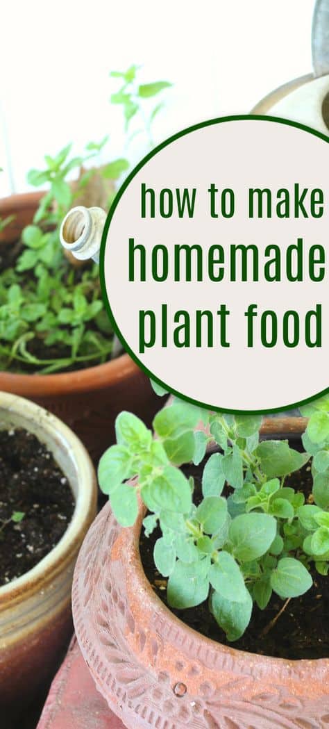 Turn Household Scraps Into Homemade Plant Food - Creative Homemaking