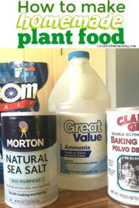 Turn Household Scraps Into Homemade Plant Food - Creative Homemaking