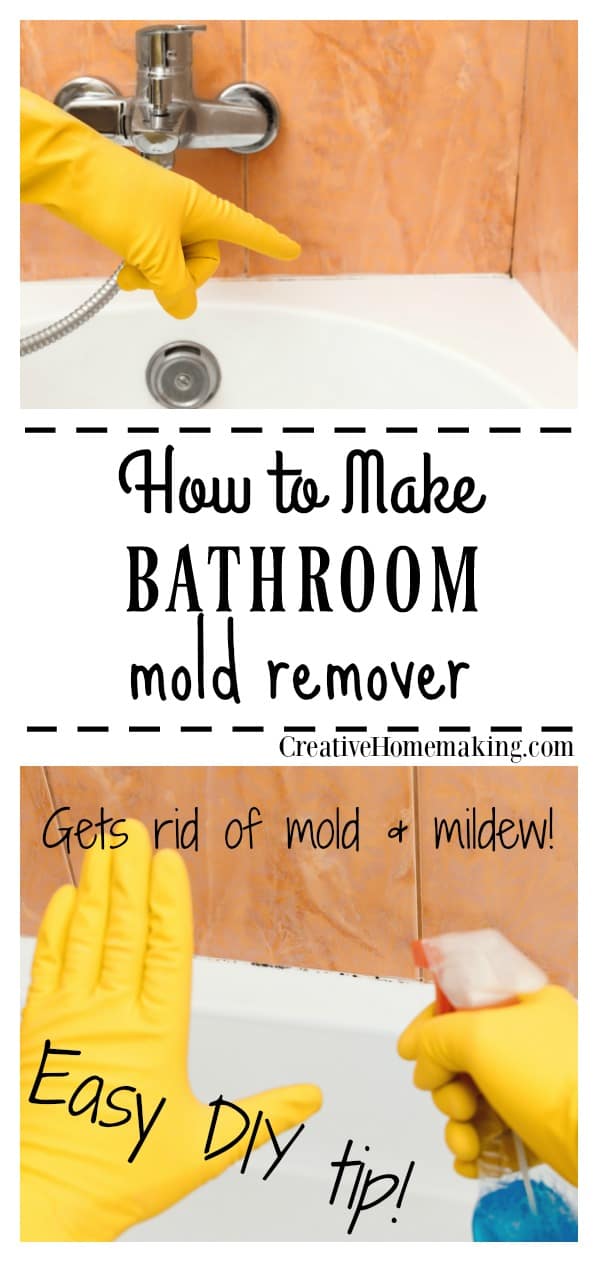 DIY Mold and Mildew Cleaner: Easy Solutions for a Fresh and Clean Home ...