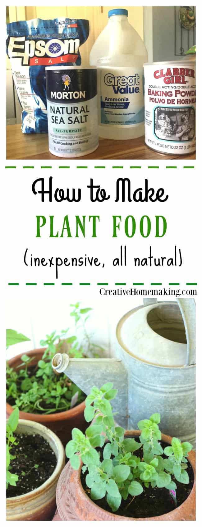 How to Make Homemade Plant Food - Creative Homemaking