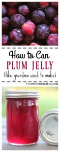 Sweet and Tangy Canning Recipe: Homemade Plum Jelly! - Creative Homemaking