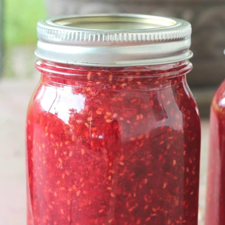 Homemade Raspberry Jam: A Simple Canning Recipe for Sweet Summer Bliss ...