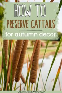 How to Preserve Cattails for Autumn Decor - Creative Homemaking