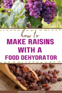 How to Make Raisins with a Dehydrator - Creative Homemaking
