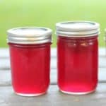 6 Best Plum Canning Recipes - Creative Homemaking