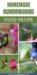 How to Make Homemade Hummingbird Food - Creative Homemaking