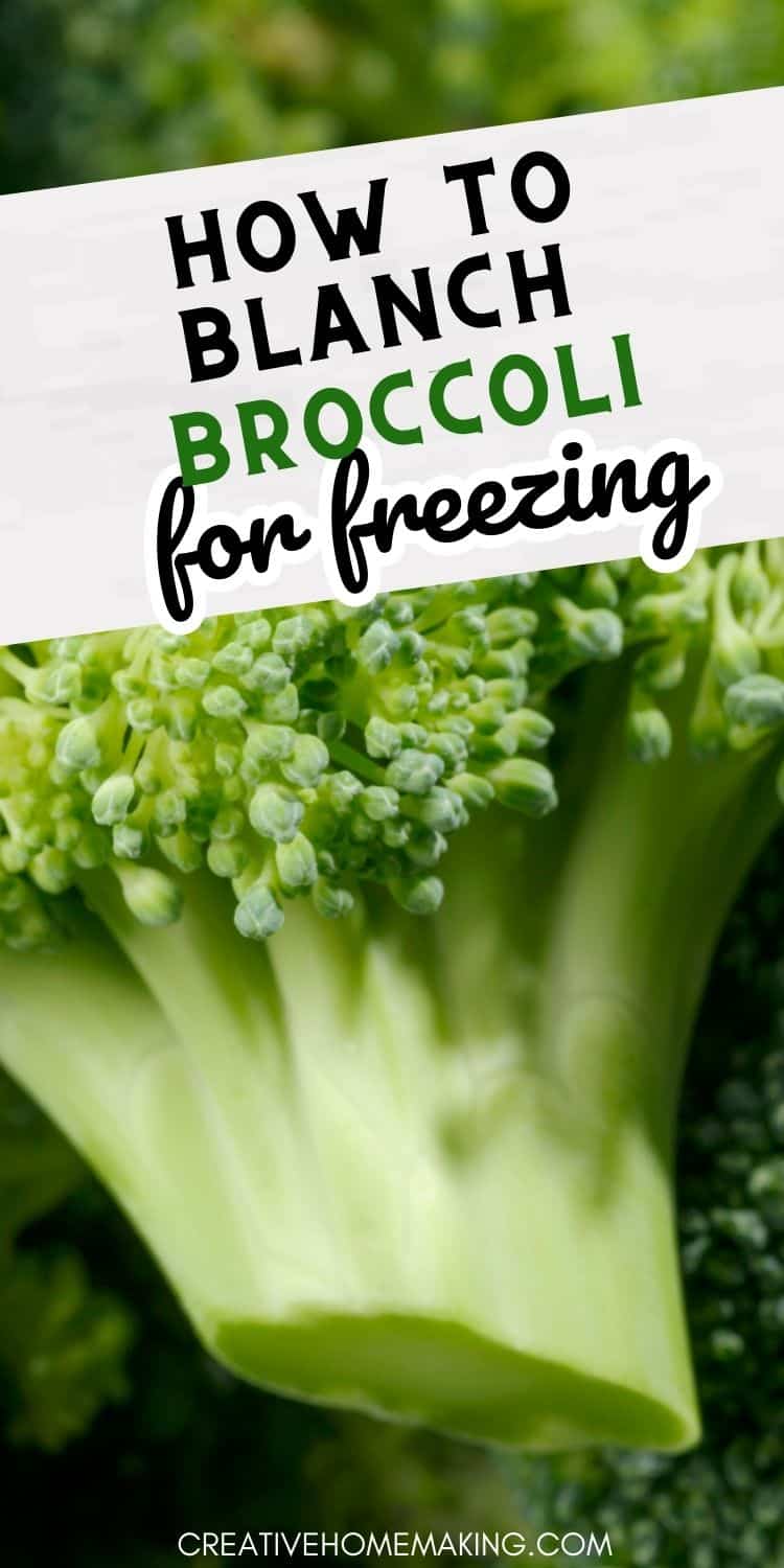 How to Blanch Broccoli: A Step-by-Step Guide - Creative Homemaking