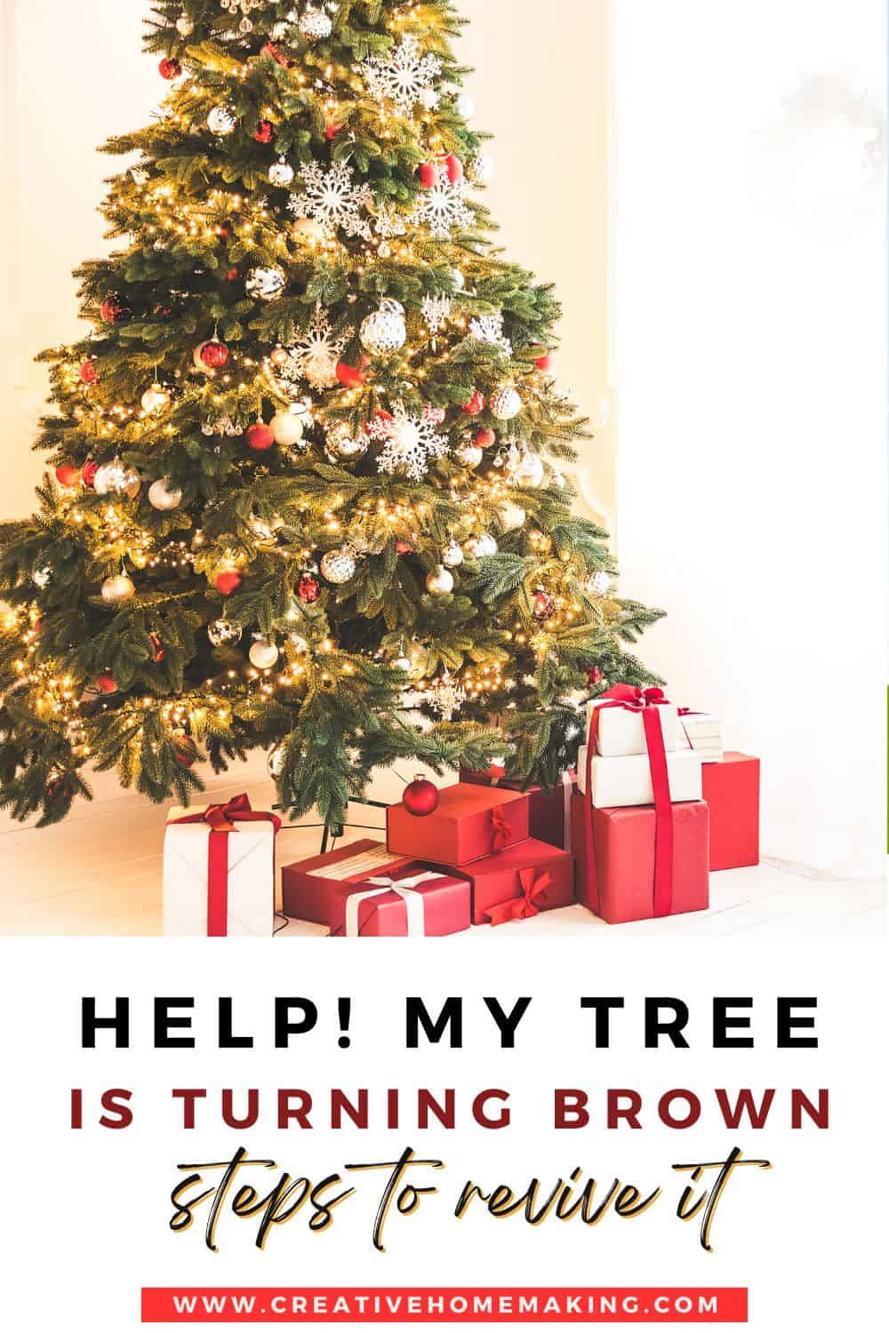 Help! My Potted Christmas Tree is Turning Brown: Tips for Saving Your ...
