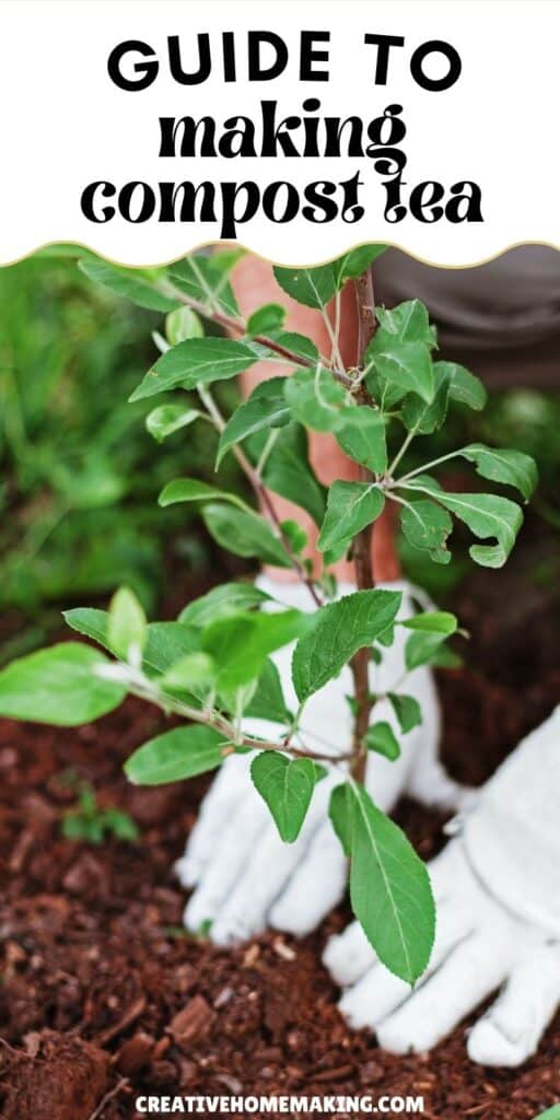 How to Make Compost Tea: A Quick and Easy Guide to Boosting Your Garden ...