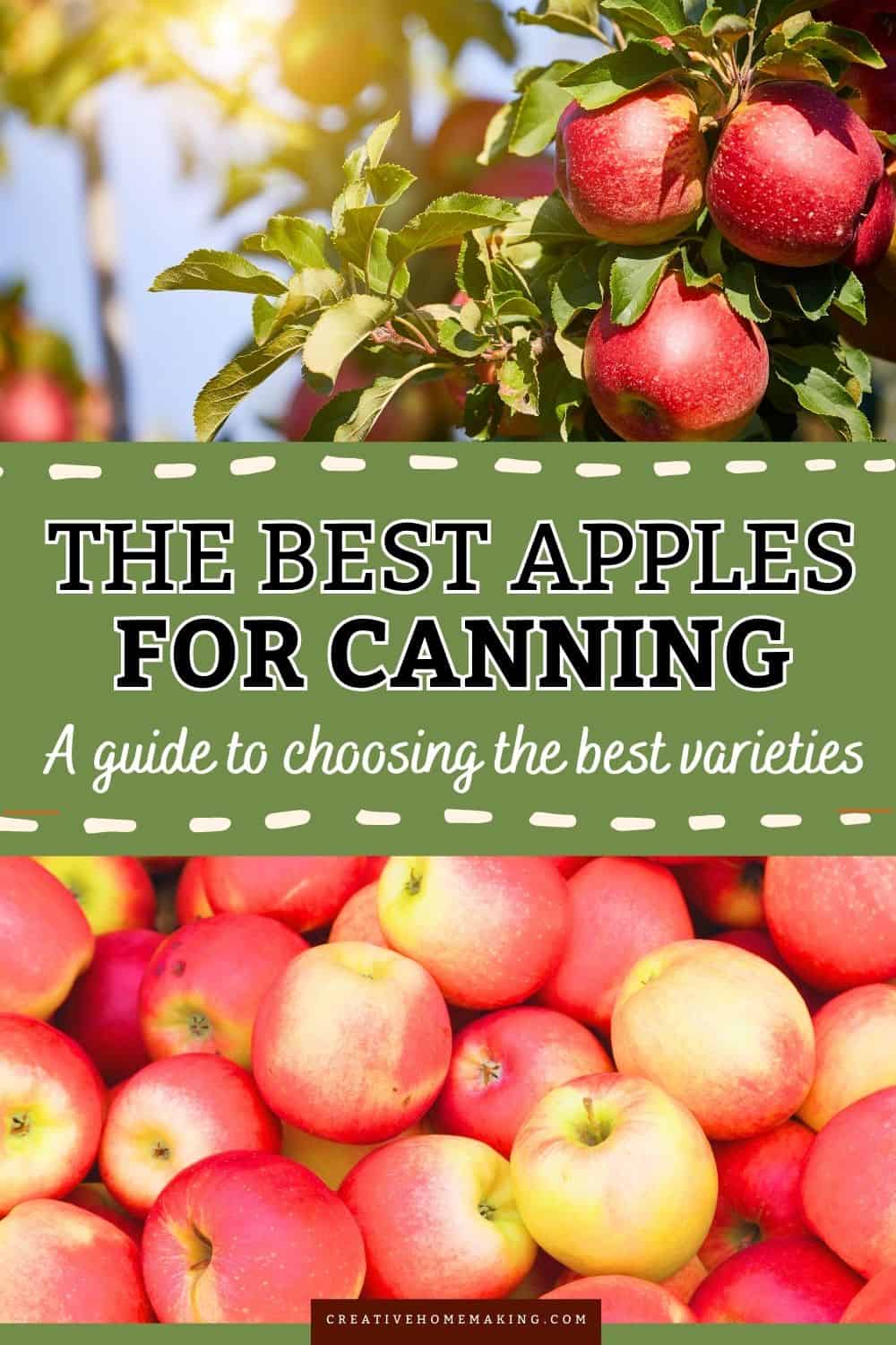 Best Apples for Canning: A Guide to Choosing the Perfect Varieties ...