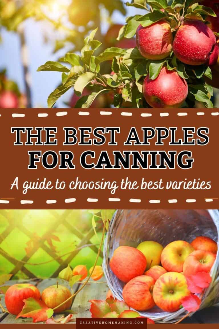 Best Apples for Canning: A Guide to Choosing the Perfect Varieties ...