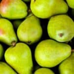 Best Pears for Canning: A Guide to the Juiciest and Most Flavorful ...