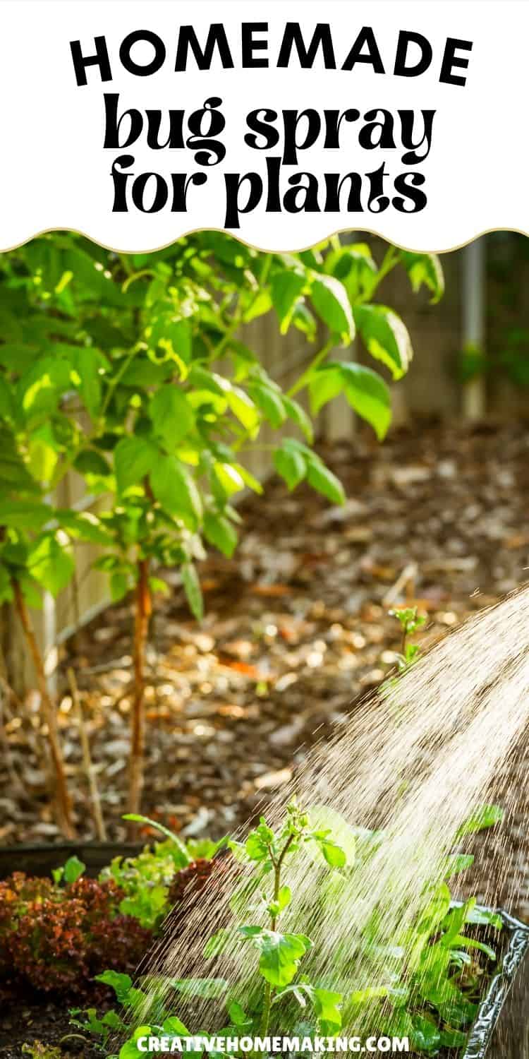 Homemade Bugspray for Plants with Dawn: A Natural Solution - Creative ...