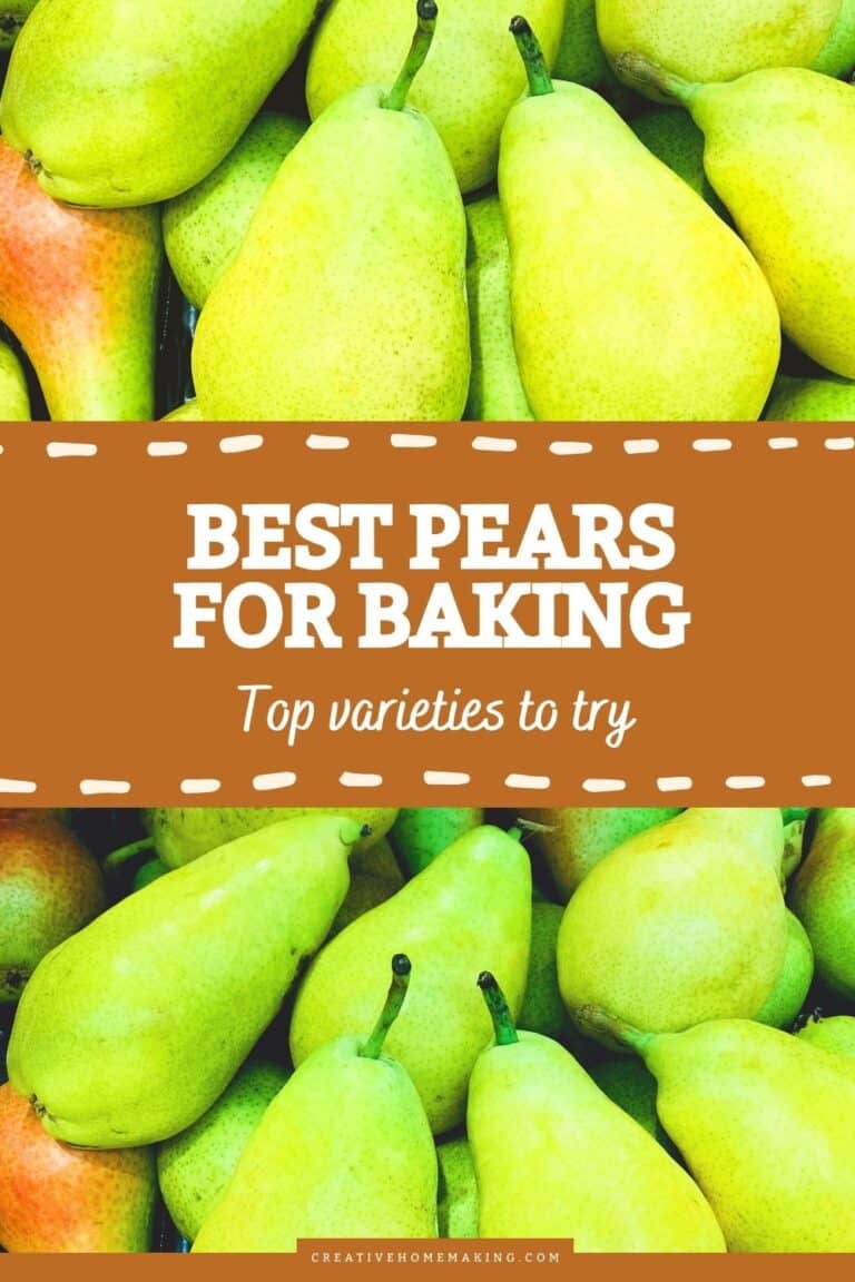 Best Pears for Baking: Top Varieties You Need to Try - Creative Homemaking