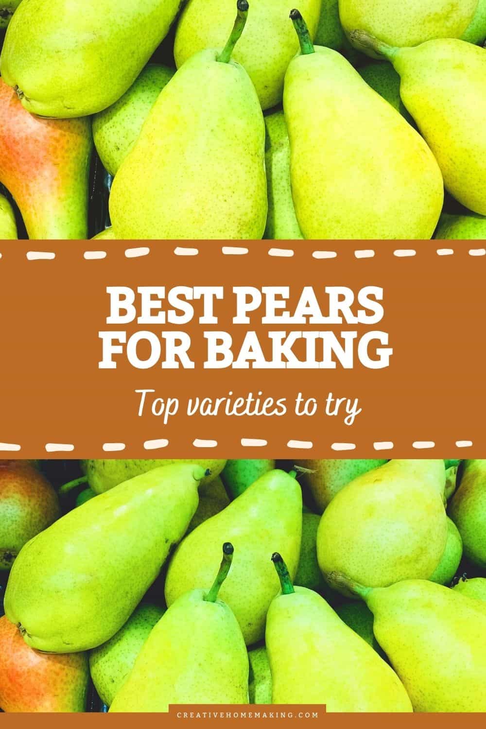 Best Pears for Baking: Top Varieties You Need to Try - Creative Homemaking