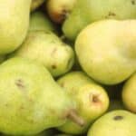 Best Pears for Baking: Top Varieties You Need to Try - Creative Homemaking