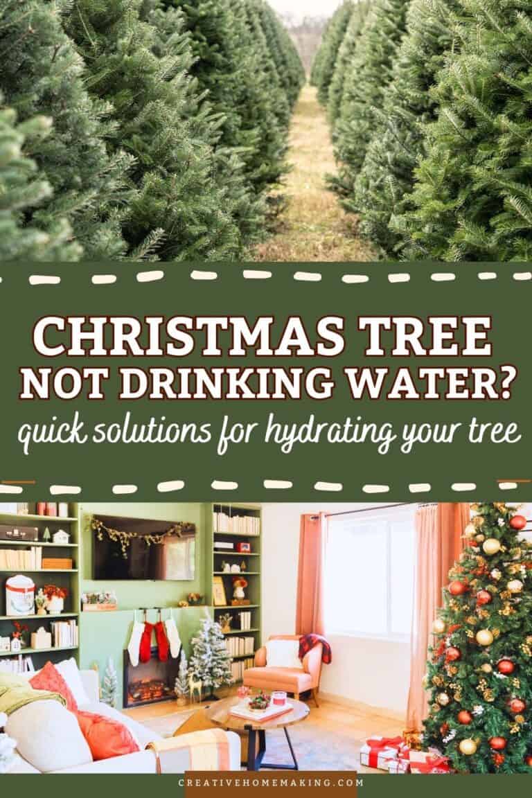 Christmas Tree Not Drinking Water: Quick Solutions to Hydrate Your ...