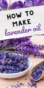 How to Make Lavender Oil: A Simple Guide - Creative Homemaking