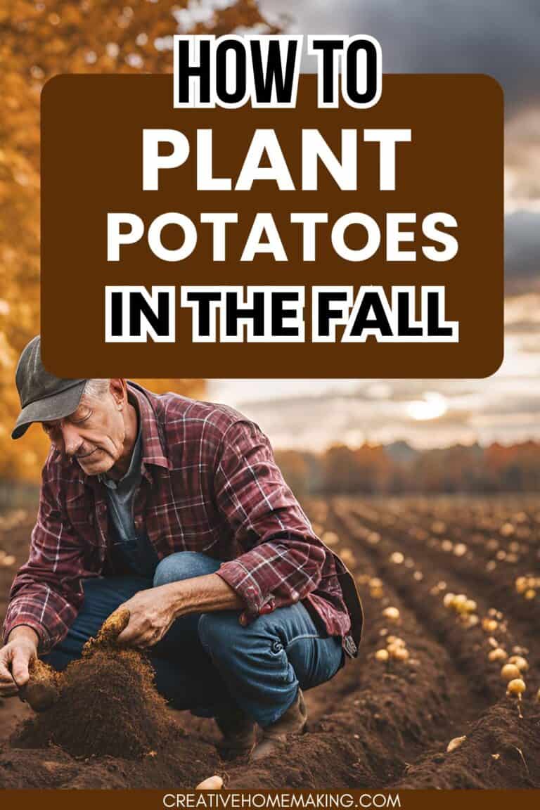 Fall Planting: How to Successfully Plant Potatoes - Creative Homemaking