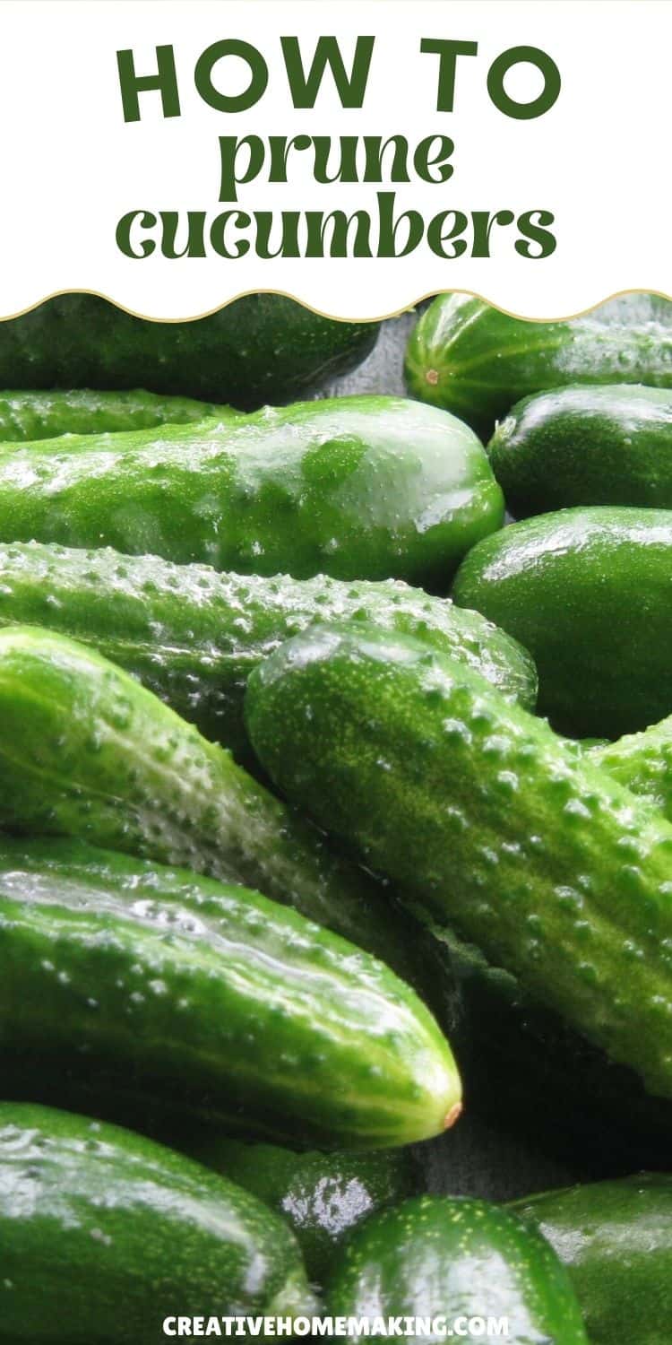 How to Prune Cucumbers: A Beginner's Guide - Creative Homemaking