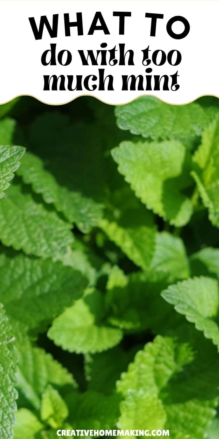 What to Do with Mint Leaves: Easy Ideas for Fresh Flavors - Creative ...