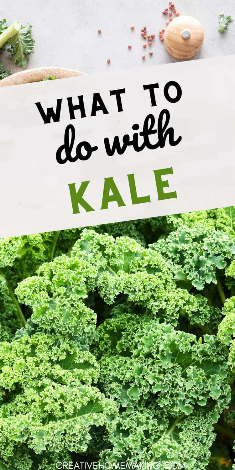 What to Do with Kale: Easy and Delicious Ideas for Your Next Meal ...