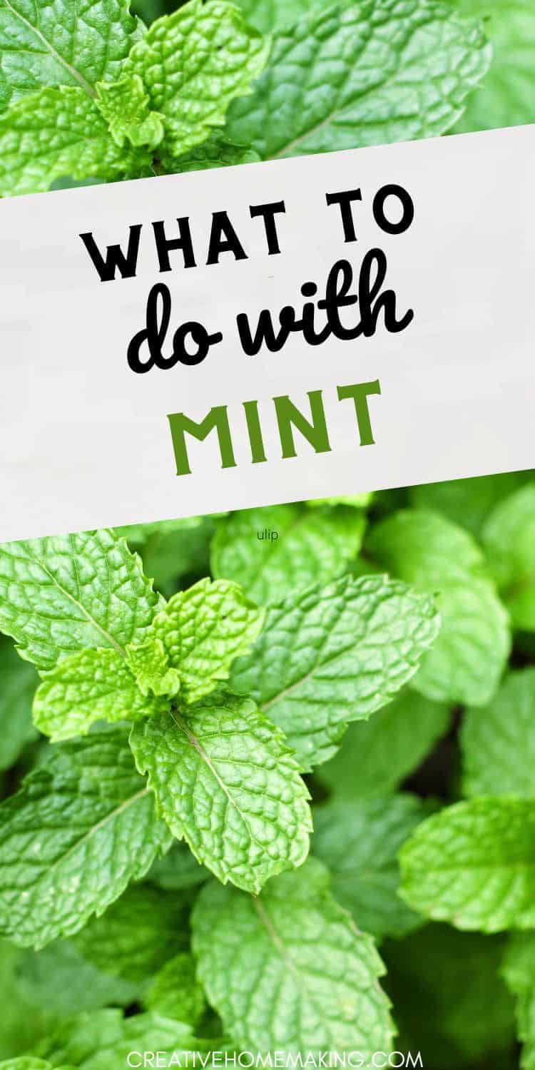 What to Do with Mint Leaves: Easy Ideas for Fresh Flavors - Creative ...