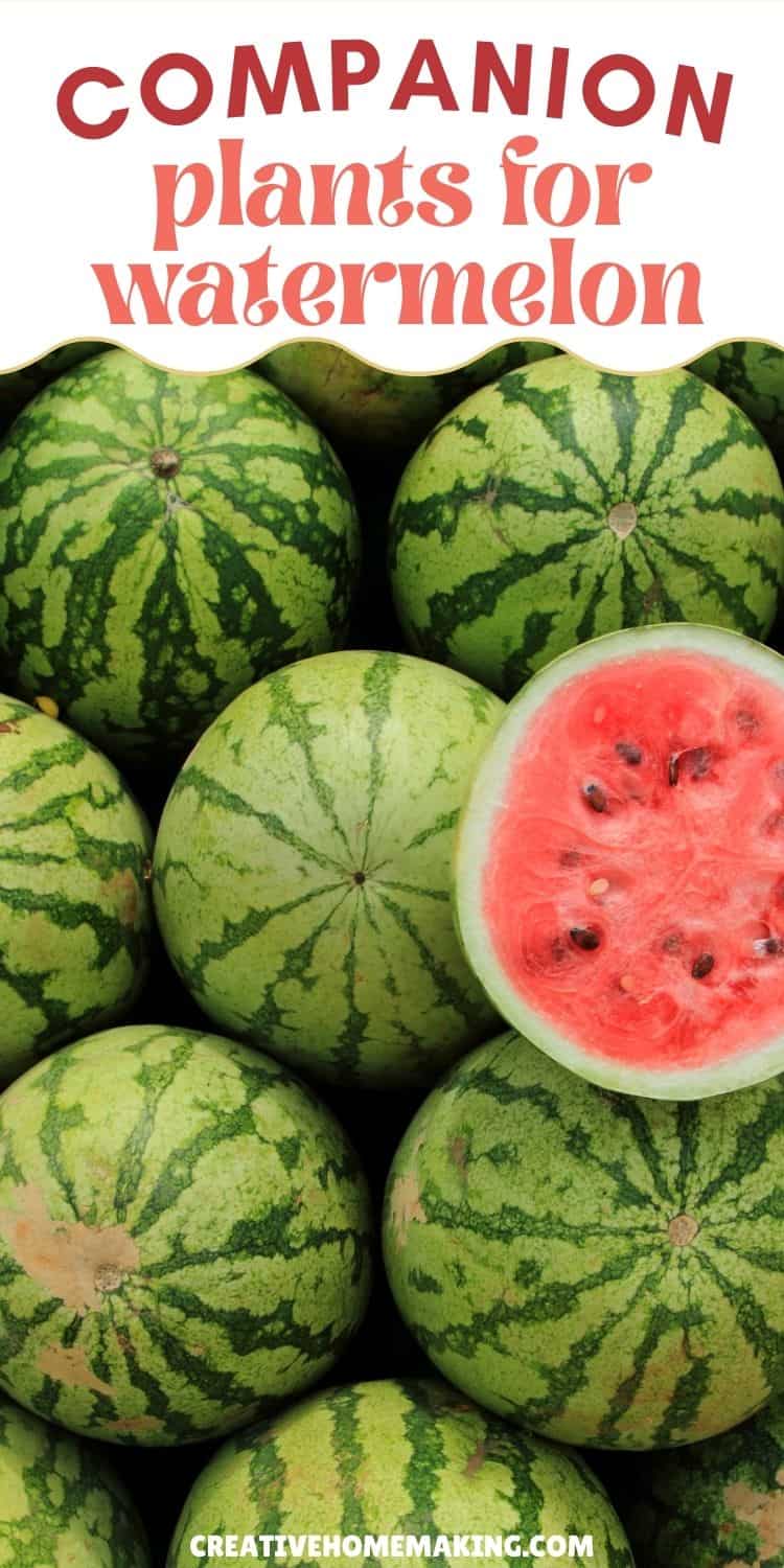 Companion Plants for Watermelon: Enhance Growth and Flavor with the ...