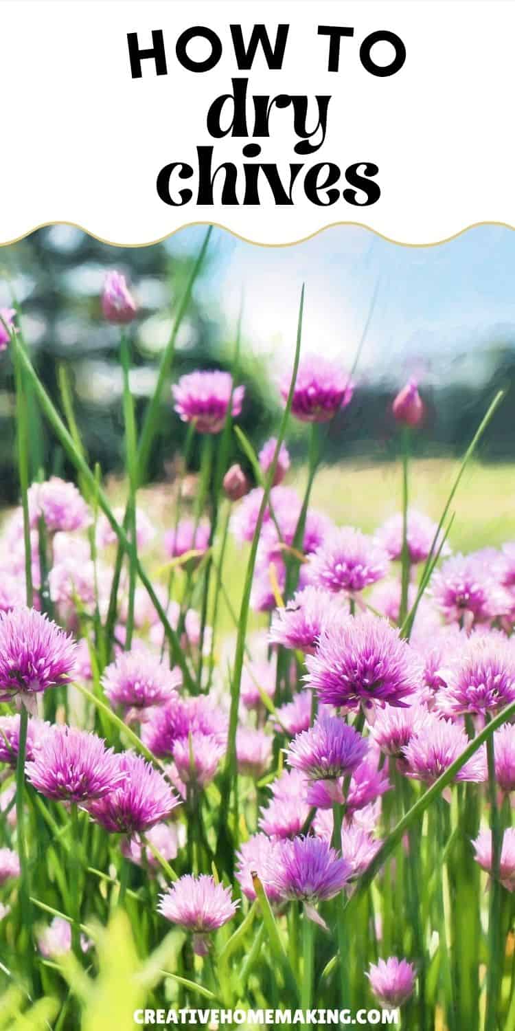 How to Dry Chives Easily for Fresh Flavor All Year - Creative Homemaking