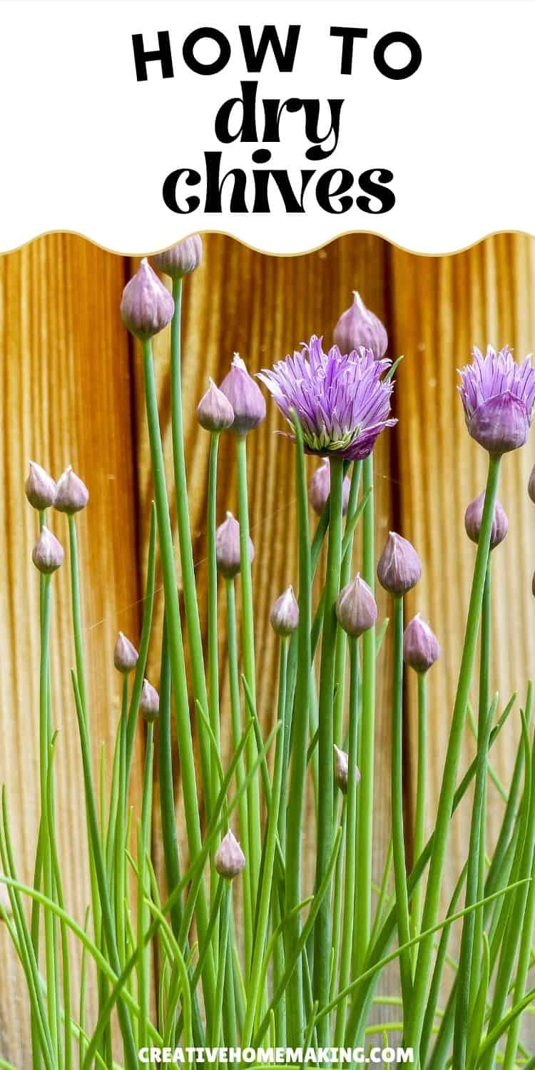 How to Dry Chives Easily for Fresh Flavor All Year - Creative Homemaking