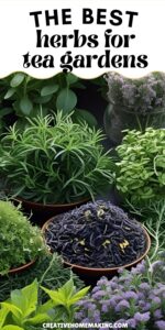 List of Tea Garden Plants for Beginners and Enthusiasts - Creative ...