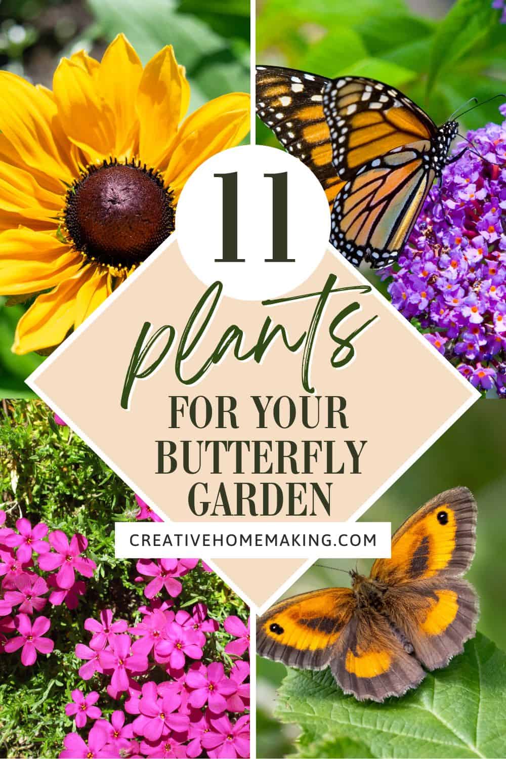 Top 11 Butterfly-Friendly Plants for Your Garden - Creative Homemaking