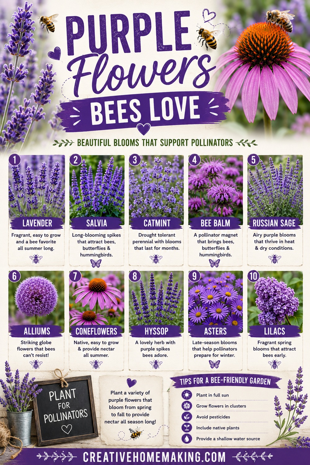 Purple Flowers Bees Love: The Best Pollinator-Friendly Blooms for Your ...